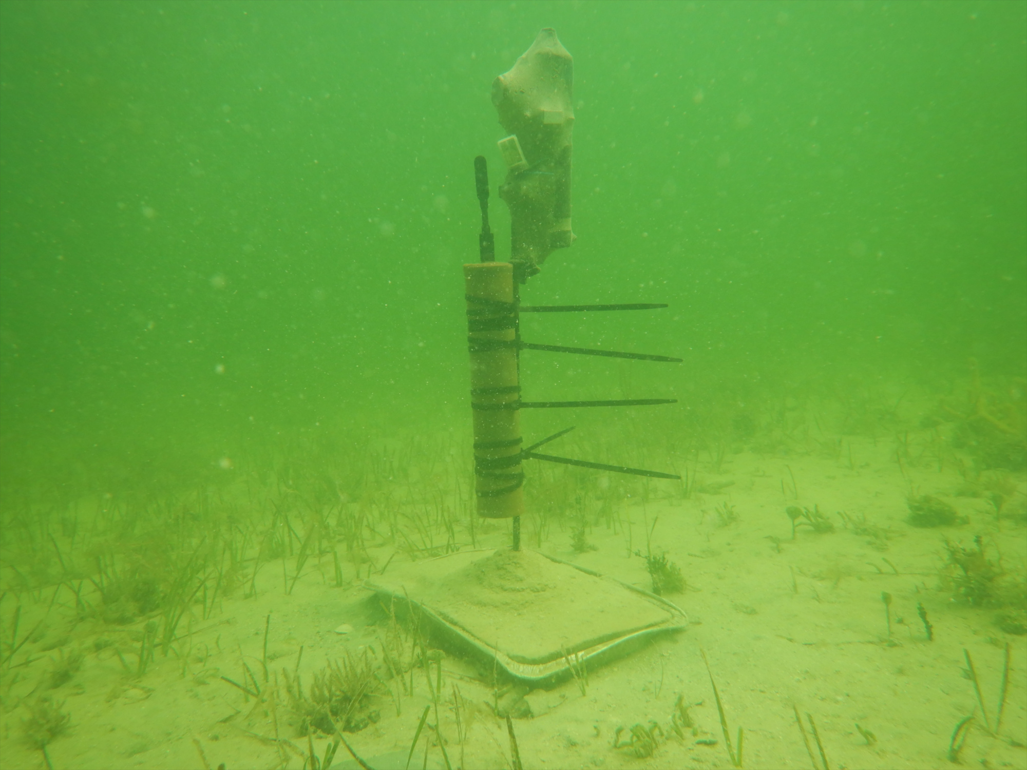 Detecting underwater sounds with deep learning – MERIDIAN