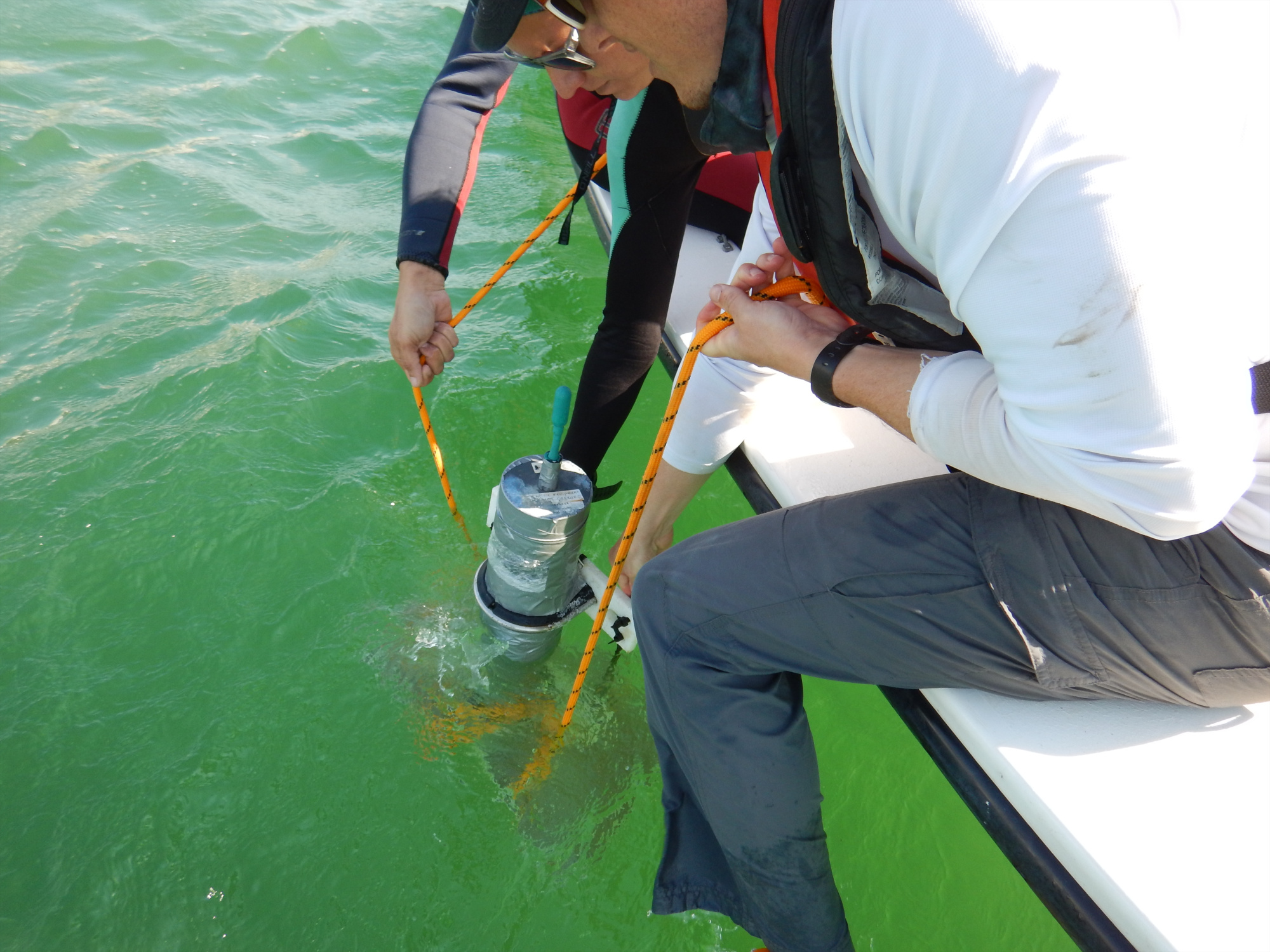 Detecting underwater sounds with deep learning – MERIDIAN
